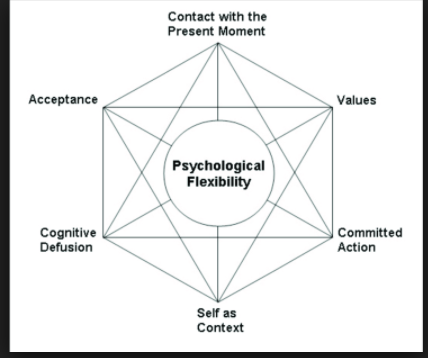 La Terapia de Aceptación y Compromiso a Través del Lente de Baer, Wolf ...