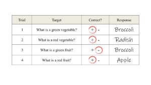 How to Teach Verbal Conditional Discrimination: A Practical Framework ...